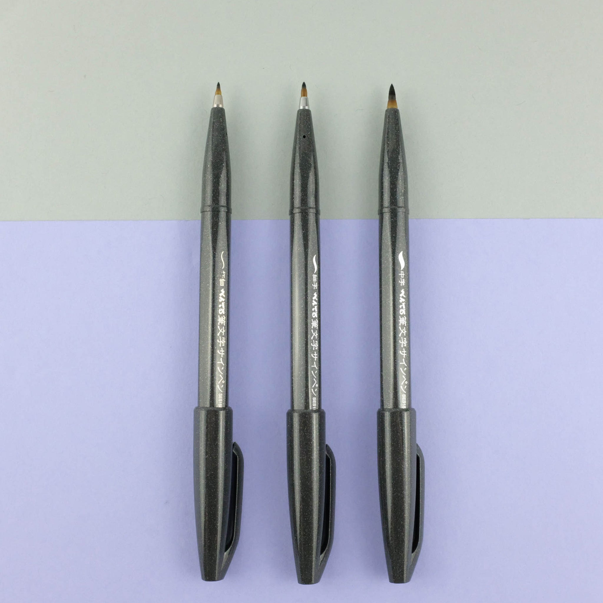 Brush Sign Pen (Medium/Fine/Extra-Fine Tip)– Pentel Singapore