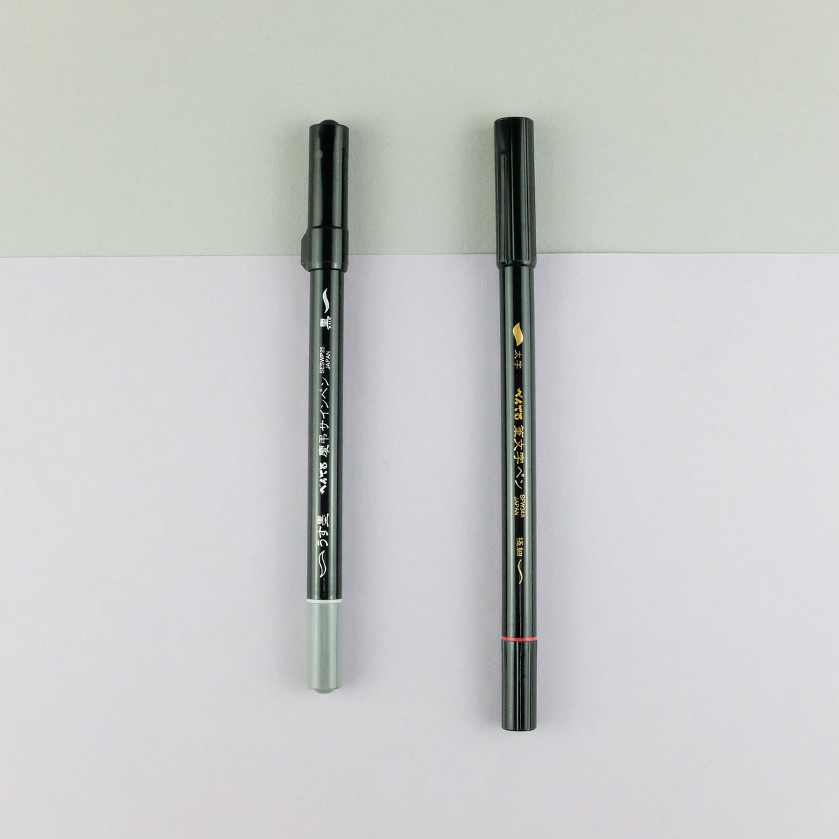 Twin Tip Brush Pen– Pentel Singapore